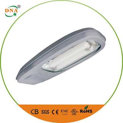 Induction street light-SL01 - DNA
